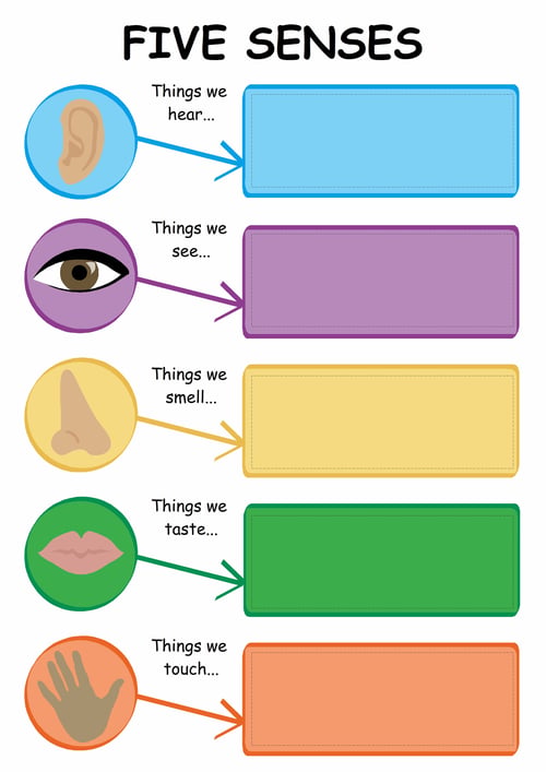 The Importance Of Visual Aids In Teaching The Importance Of Visual Aids In Teaching